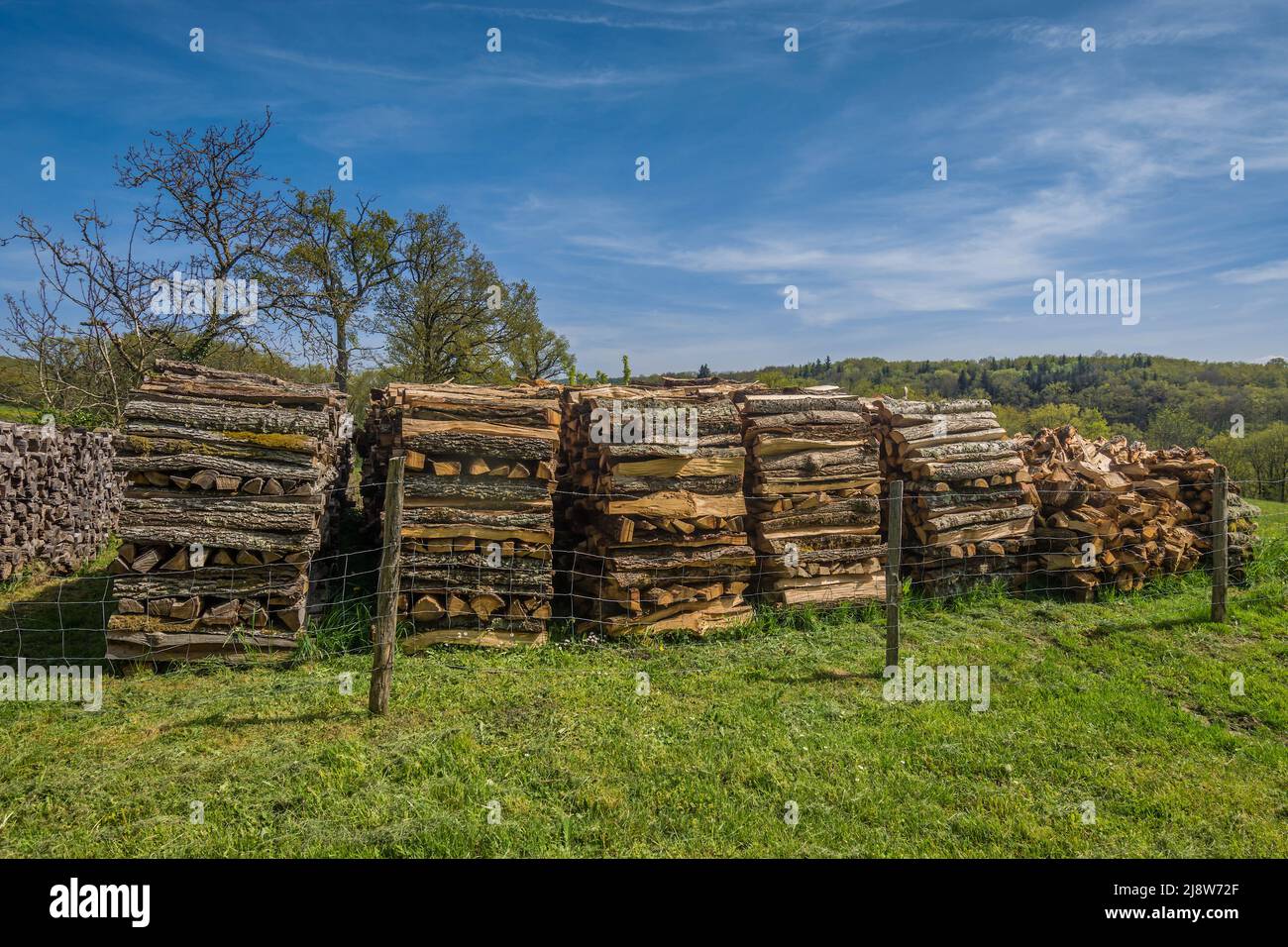 Split oak hi-res stock photography and images - Alamy