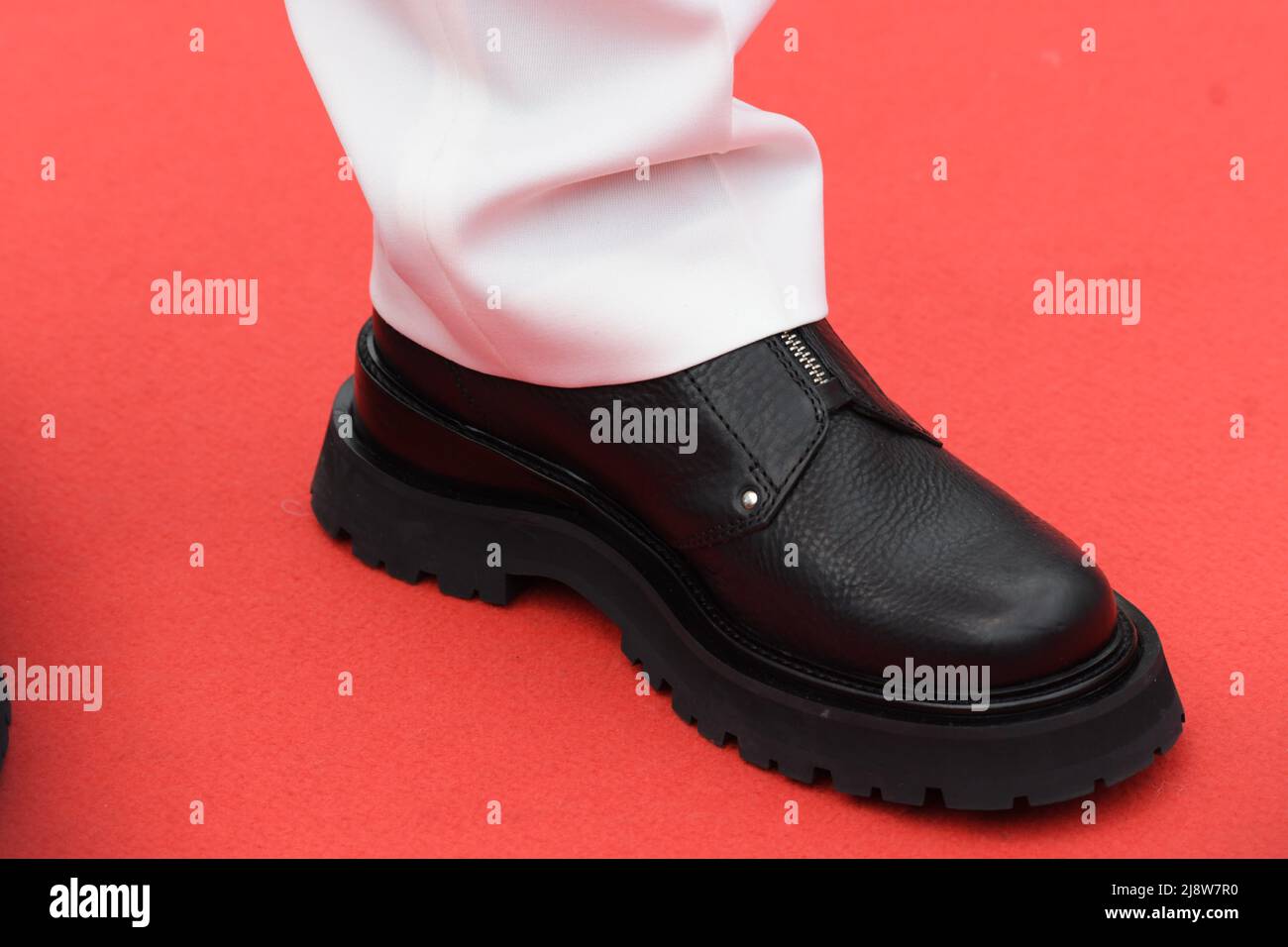 Noah beck 2022 hi-res stock photography and images - Alamy