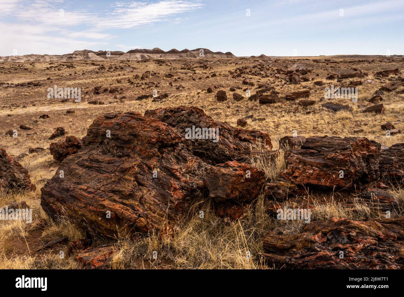 Petrified Wood Chunks With Badlands On The Horizon Stock Photo - Alamy