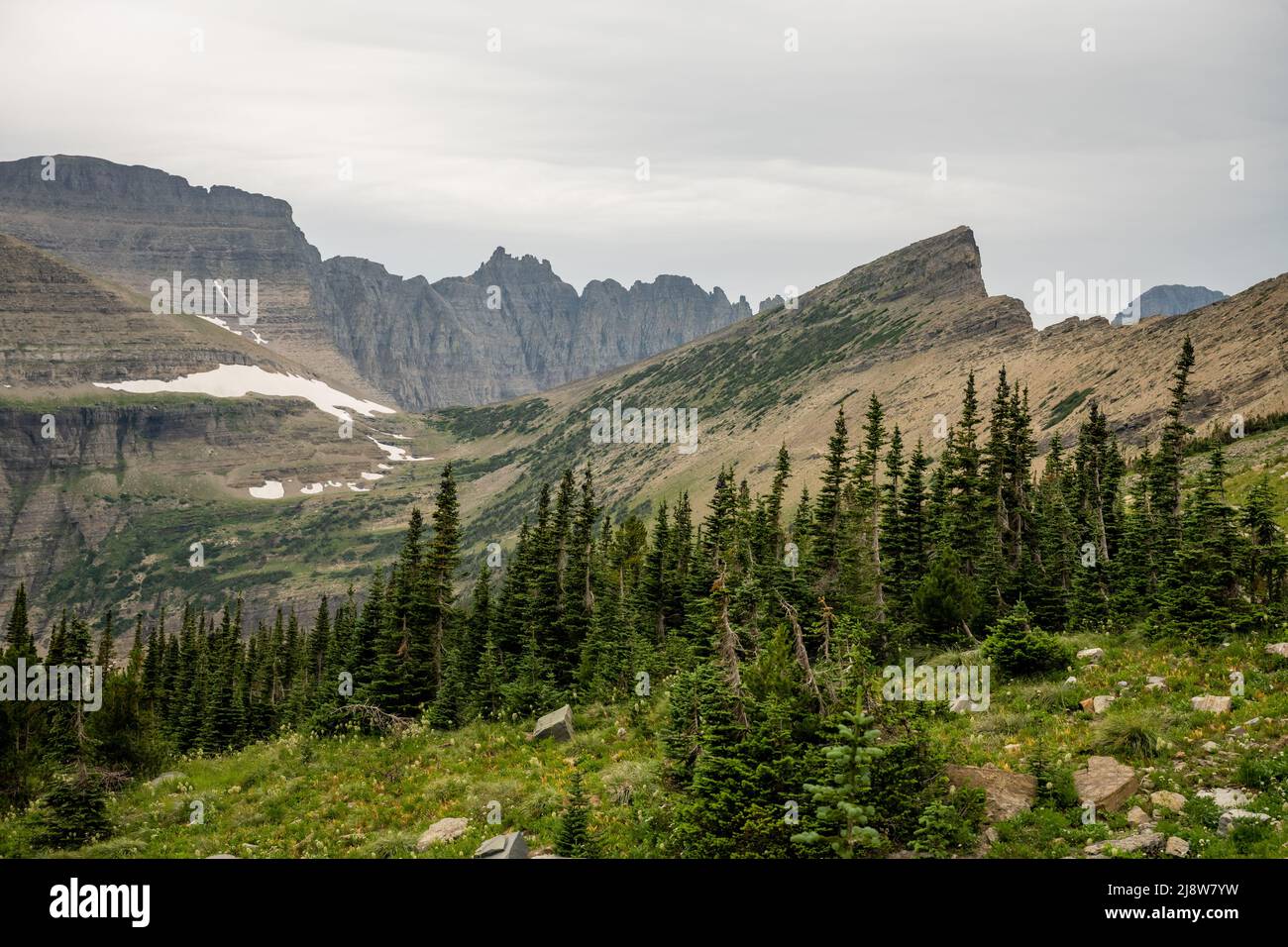 Piegan Pass Sits In The Saddle Between Pollock Mountain and Cataract ...