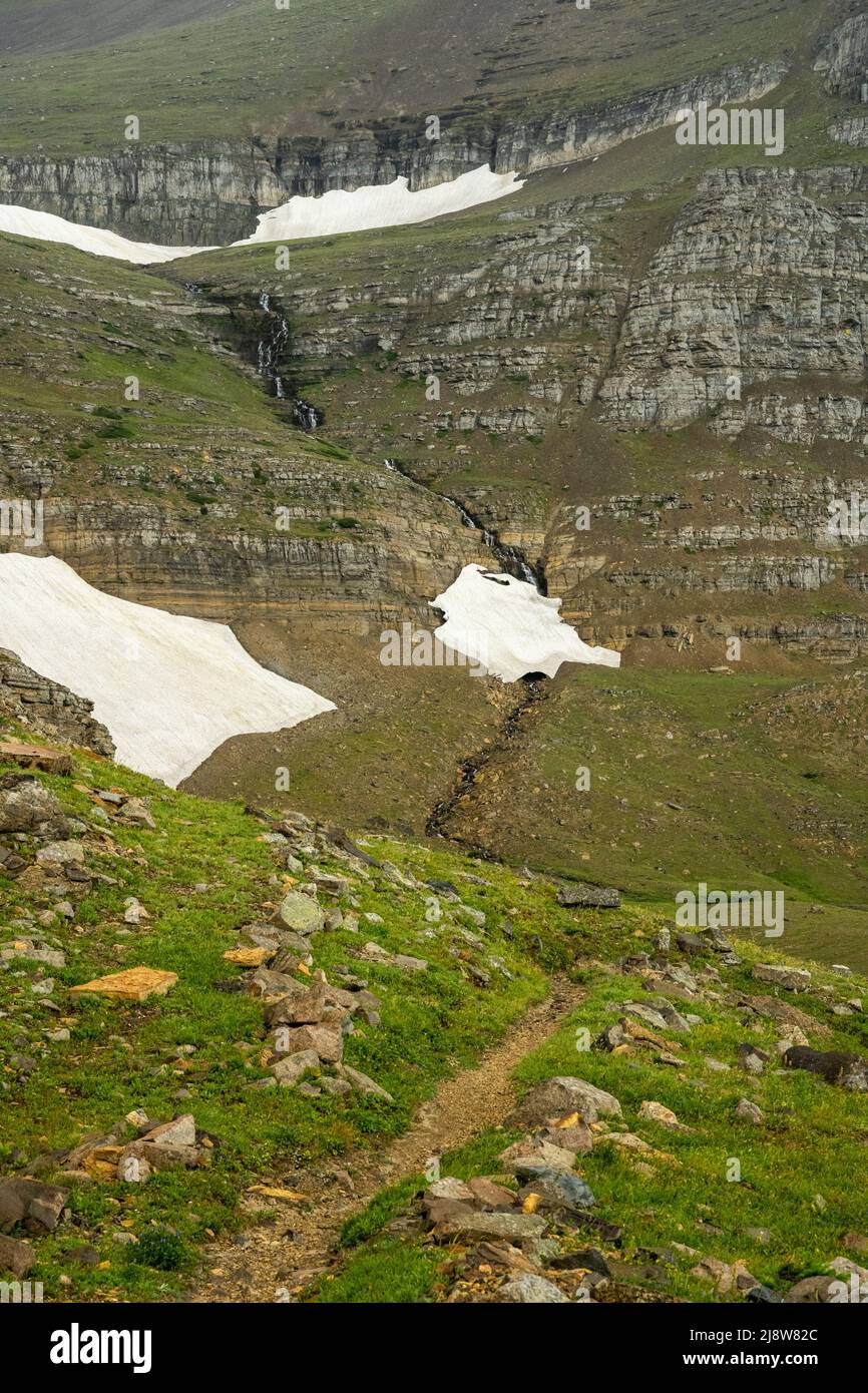 Piegan Pass Trail and Snow Melt Cataract Heading Downhill Stock Photo ...