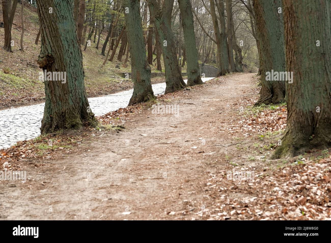 Road going into the distance hi-res stock photography and images - Alamy
