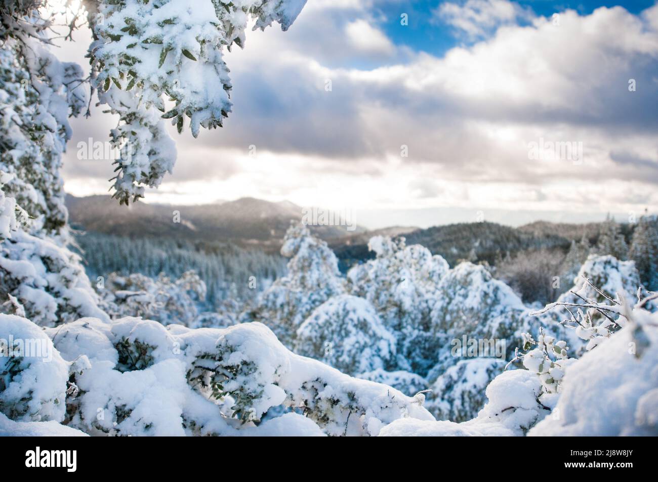 Hayfork california hi-res stock photography and images - Alamy