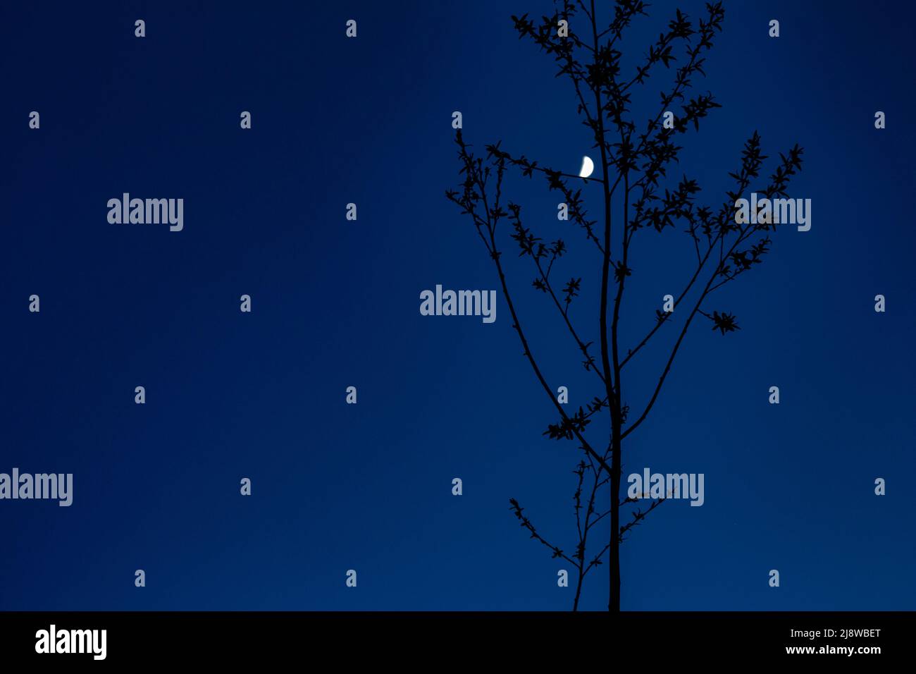 Zoomed in photos of the moon taken from Bures Hamlet in the UK Stock ...