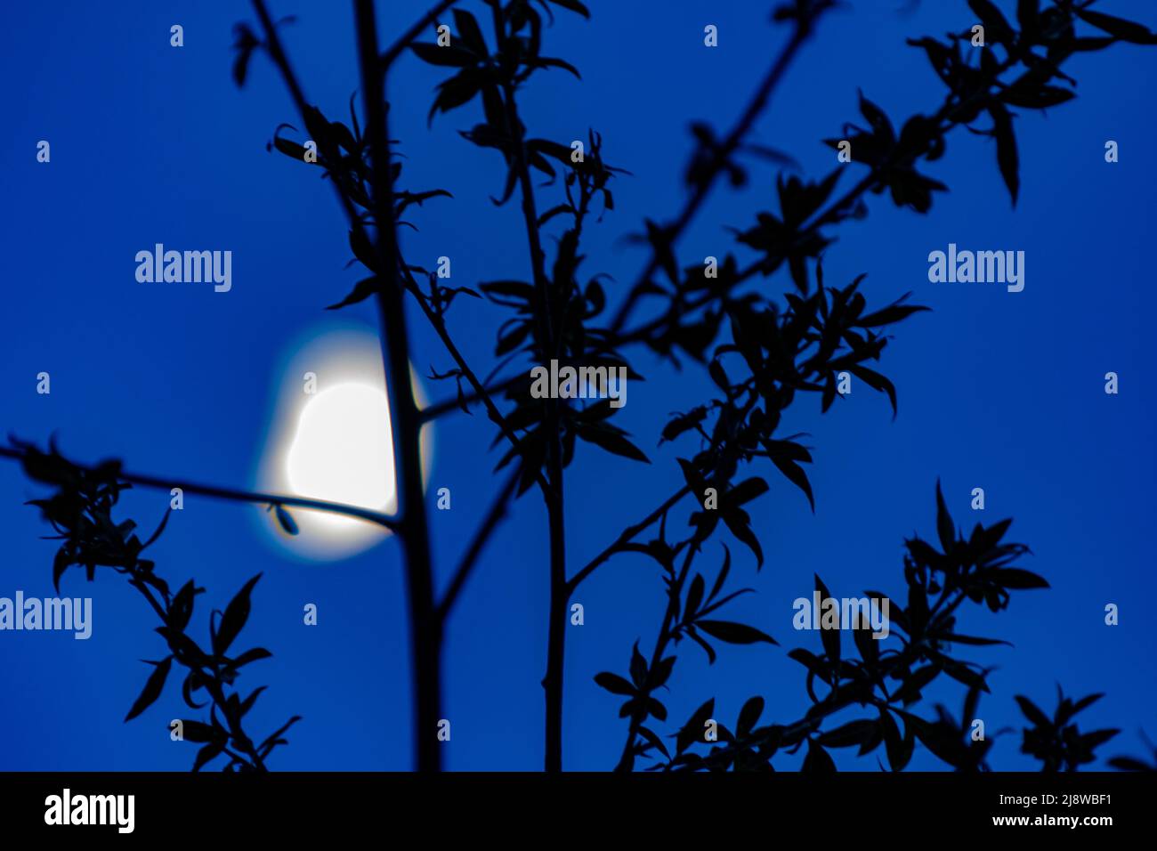 Zoomed in photos of the moon taken from Bures Hamlet in the UK Stock ...