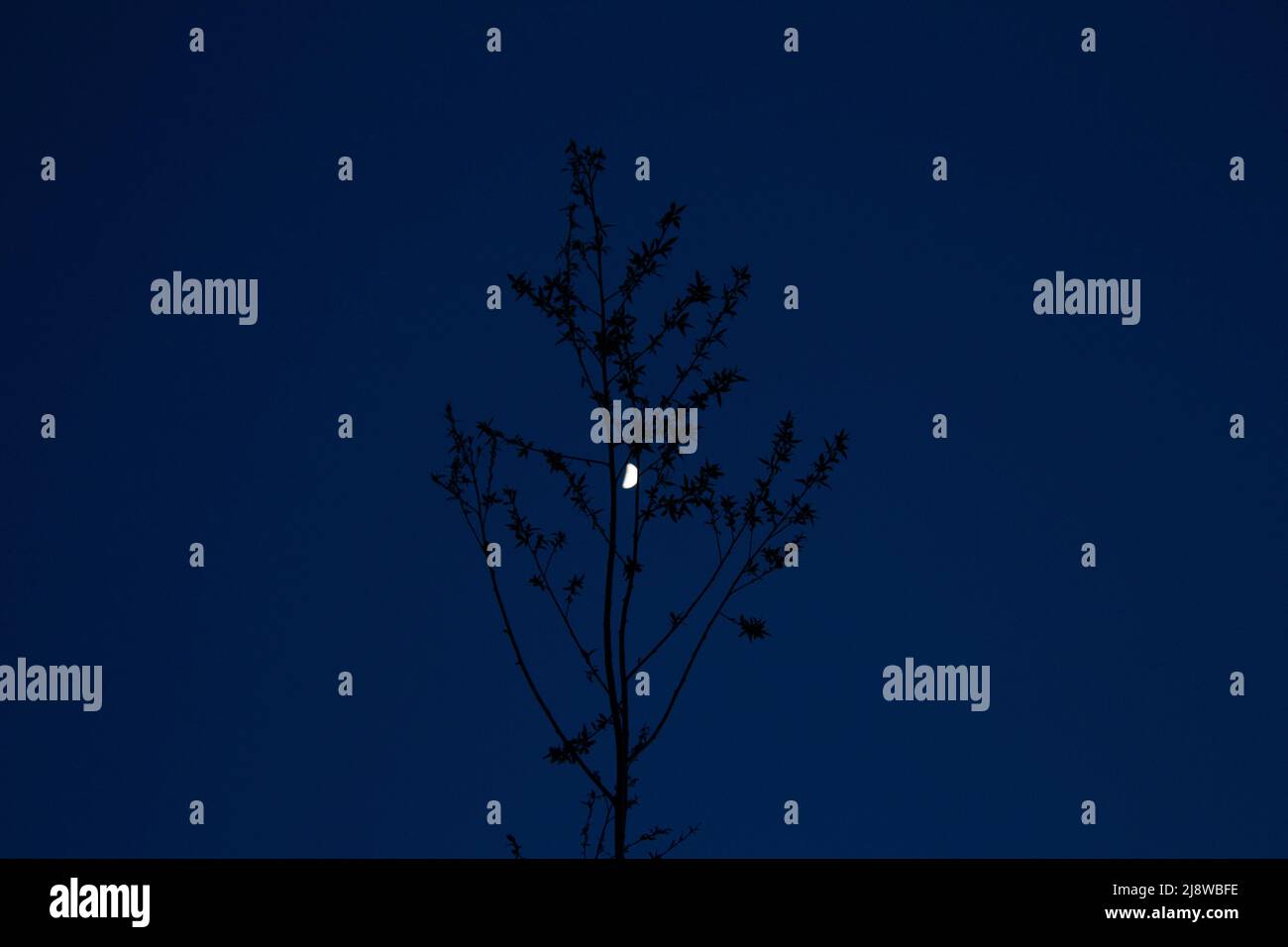 Zoomed in photos of the moon taken from Bures Hamlet in the UK Stock ...