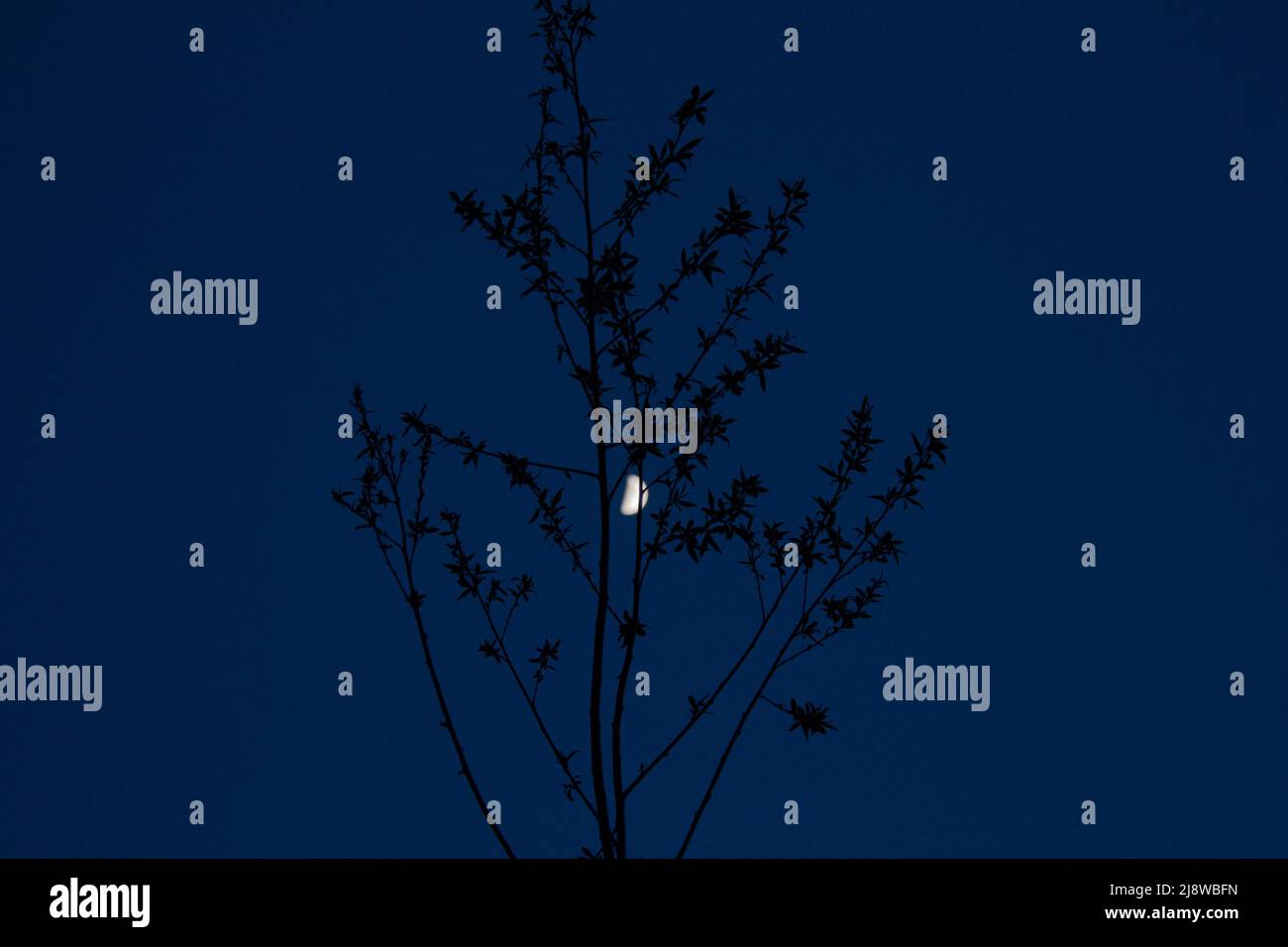 Zoomed in photos of the moon taken from Bures Hamlet in the UK Stock ...