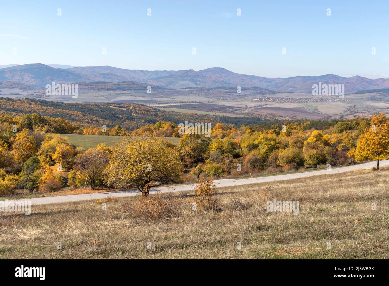 Autumn landscape of Cherna Gora (Monte Negro) mountain, Pernik Region ...