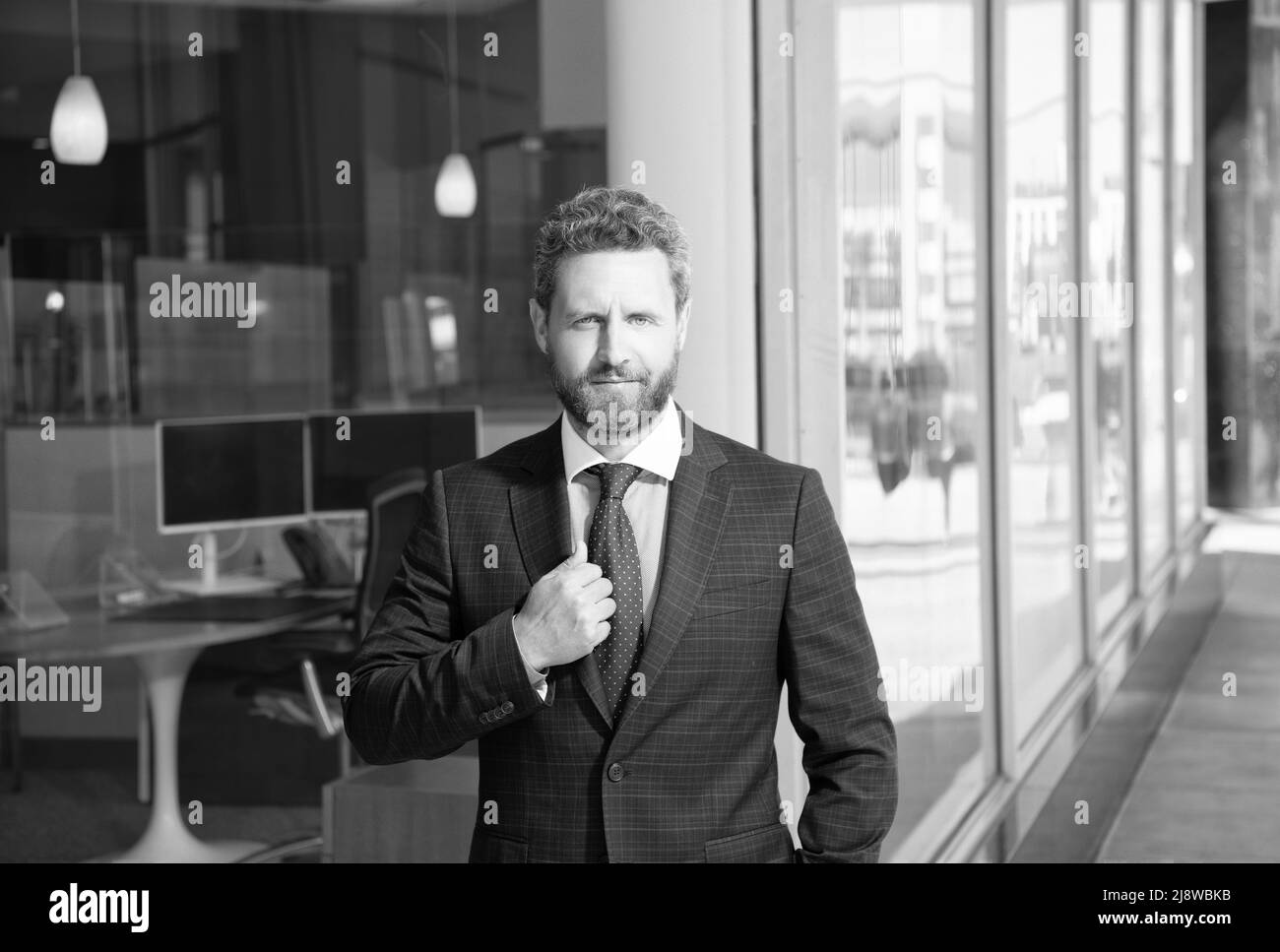 successful man in businesslike suit. entrepreneur. male formal fashion ...