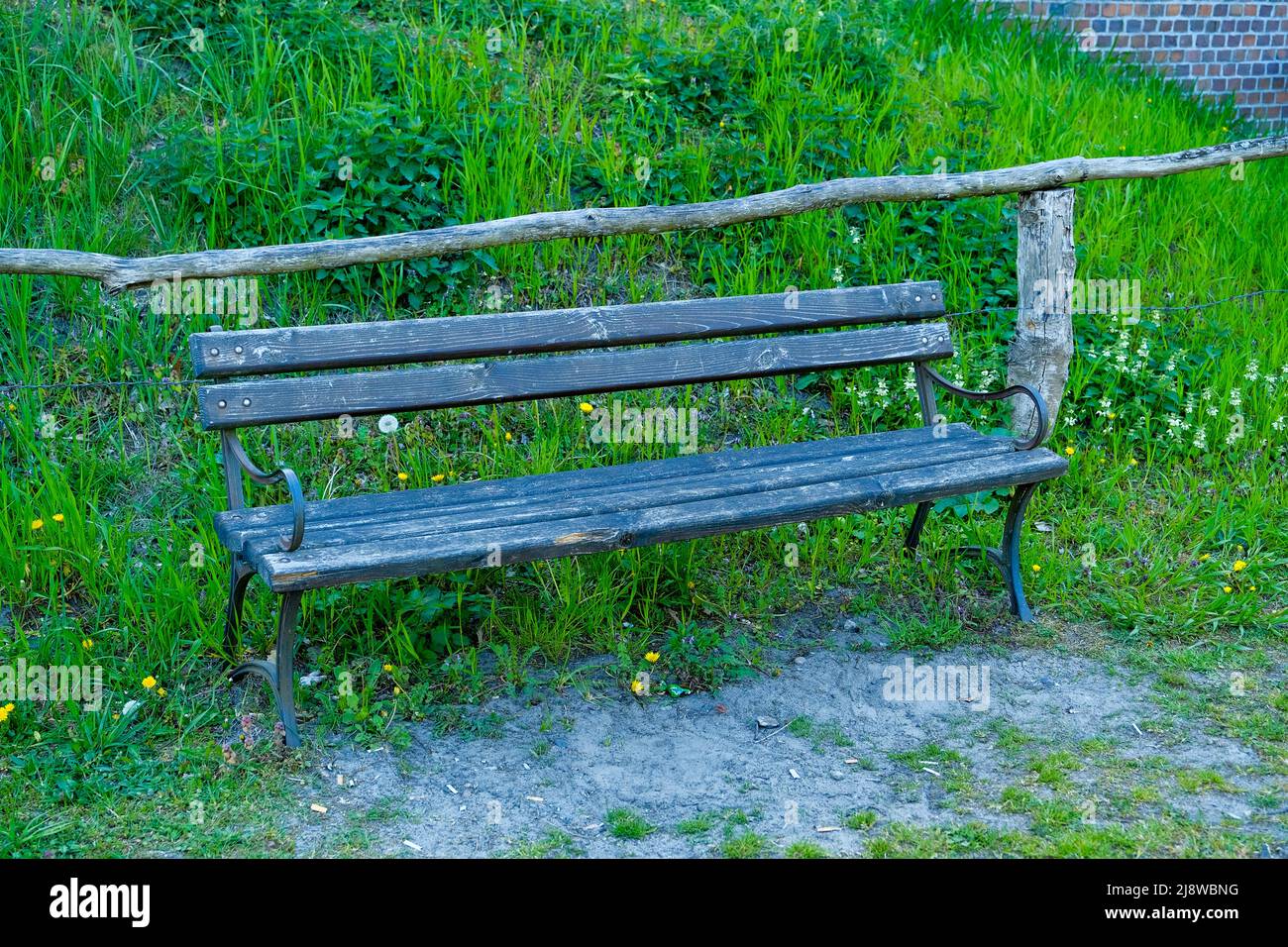 Bench in the summer park with old trees and footpath . bench in the ...