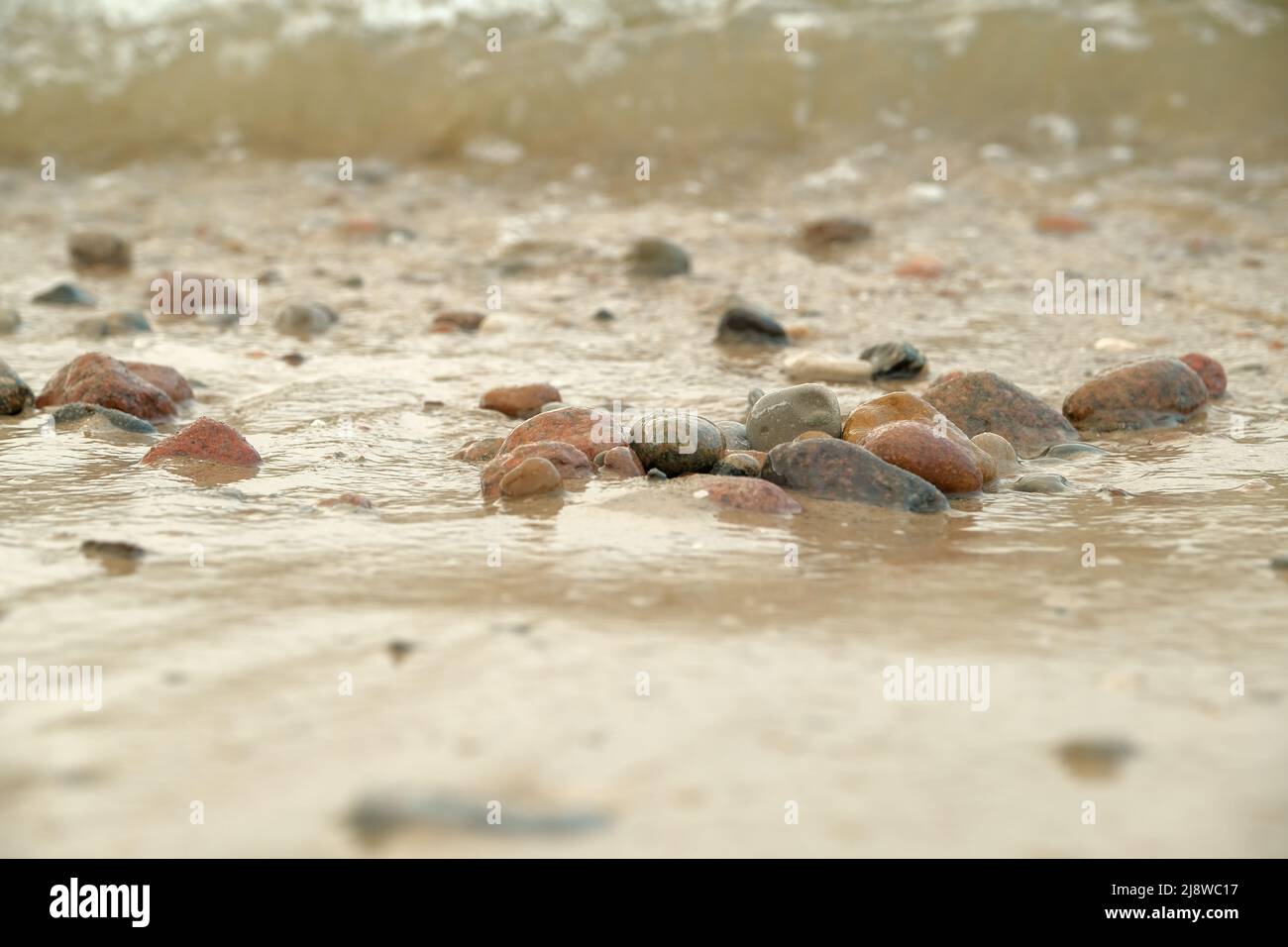 stones lie beautifully on the seashore. stones on the sand.Many ...