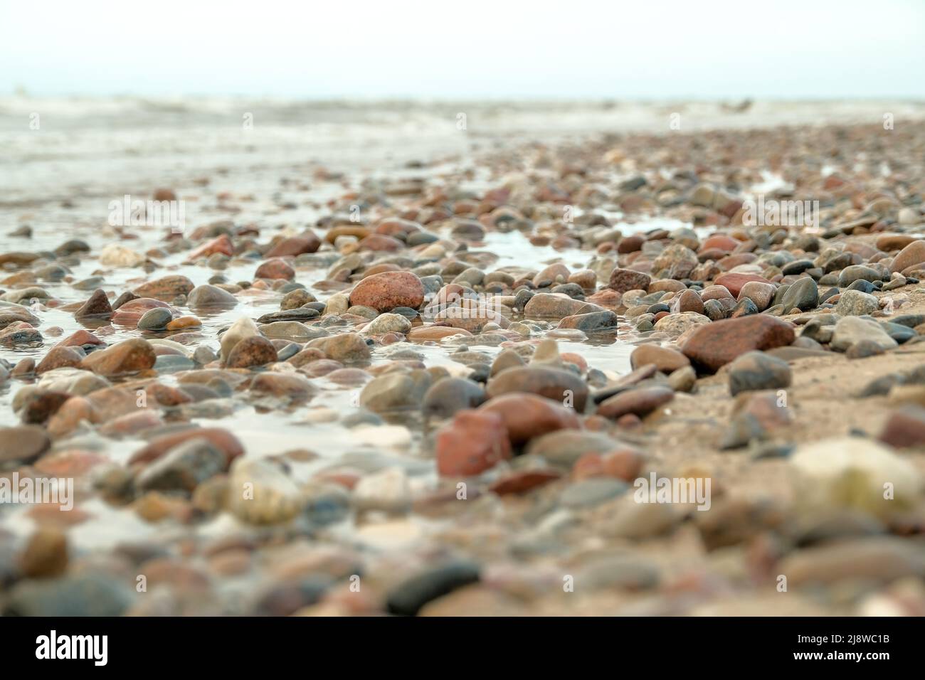 stones lie beautifully on the seashore. stones on the sand.Many ...
