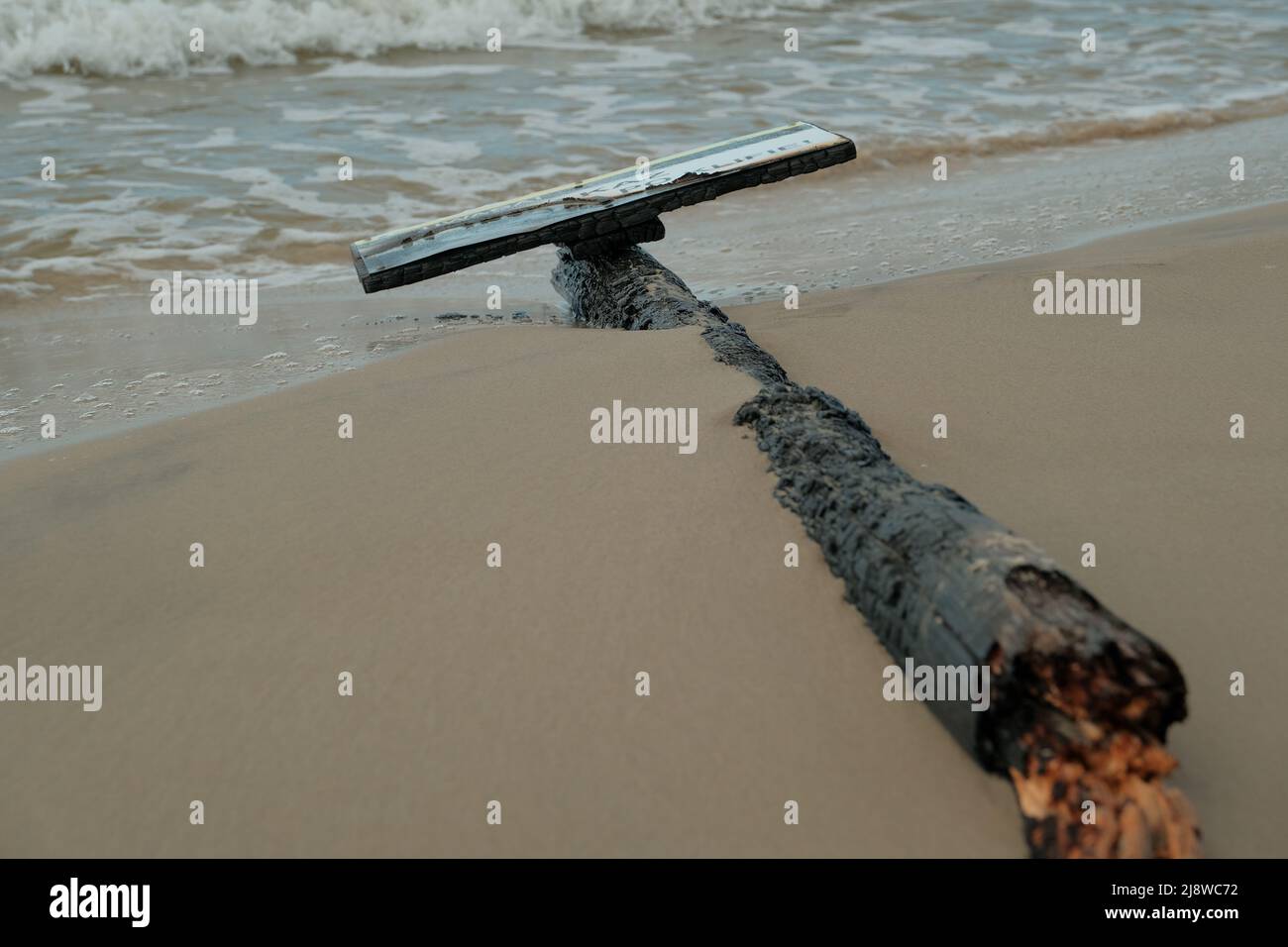burnt traffic sign and withered trees Stock Photo - Alamy