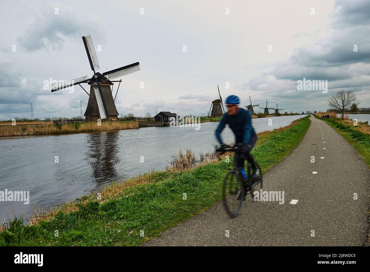 Windmills at Kinderdijk, South Holland in the Netherlands line the ...
