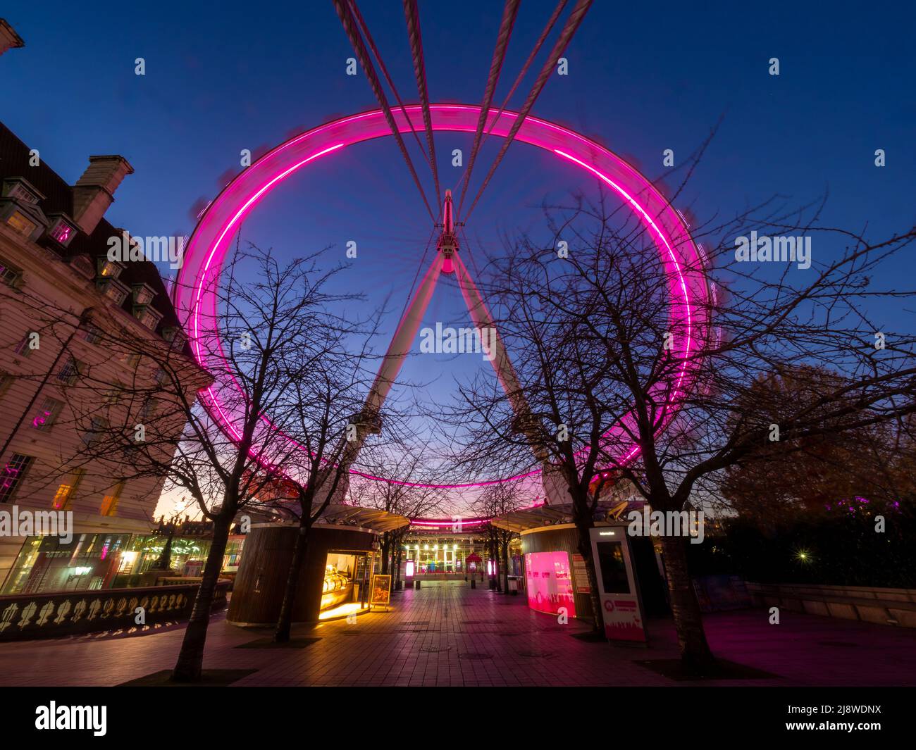 The London Eye, illuminated with pink lights, seen from The Queen's ...