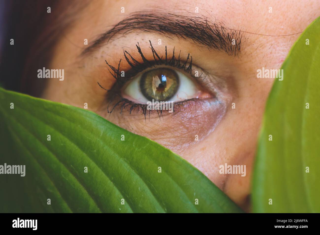 Green person hi-res stock photography and images - Alamy