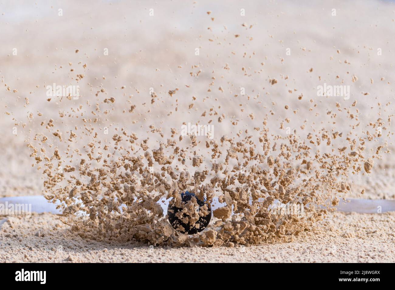 Shot put sector area. Ball jump on sand. Track and field athletics ...