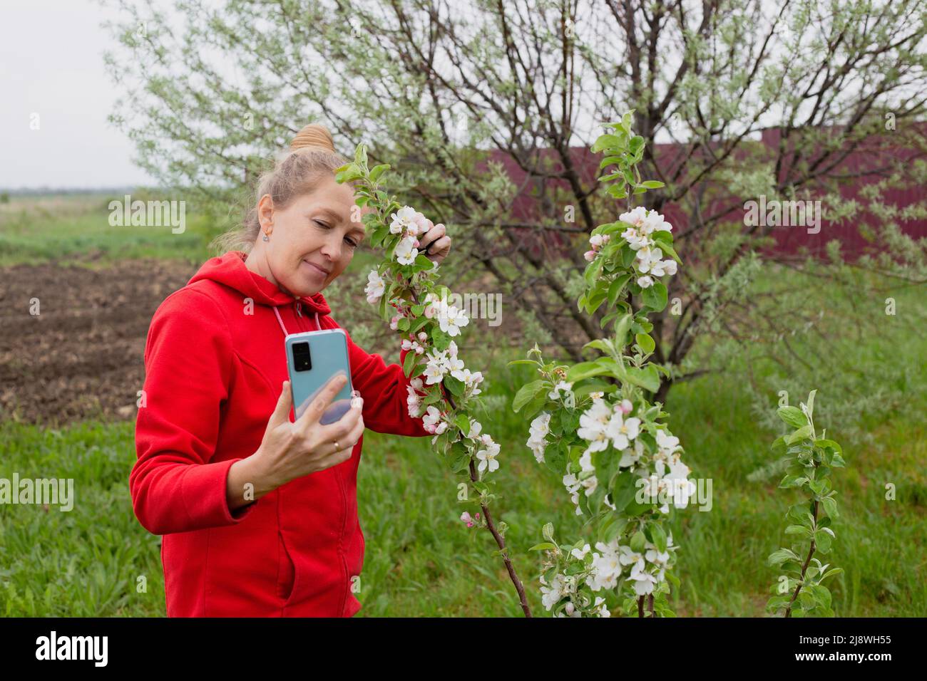 Woman filming on mobile phone hi-res stock photography and images - Alamy