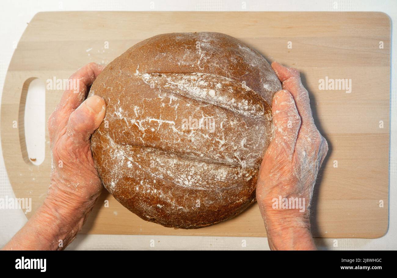 Black fresh round rye bread in the hands of an elderly man on the ...