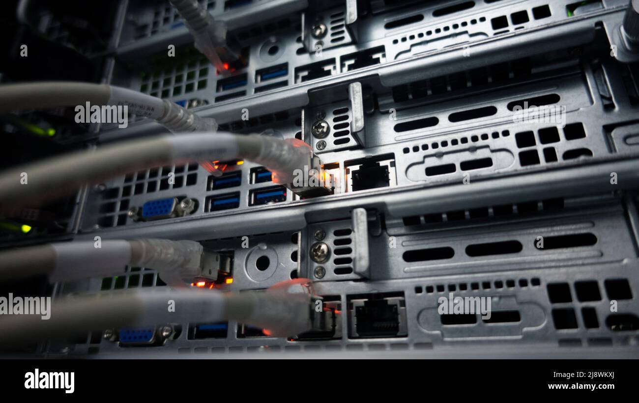 Macro Shot Ethernet Cables Connected to Router Ports ...