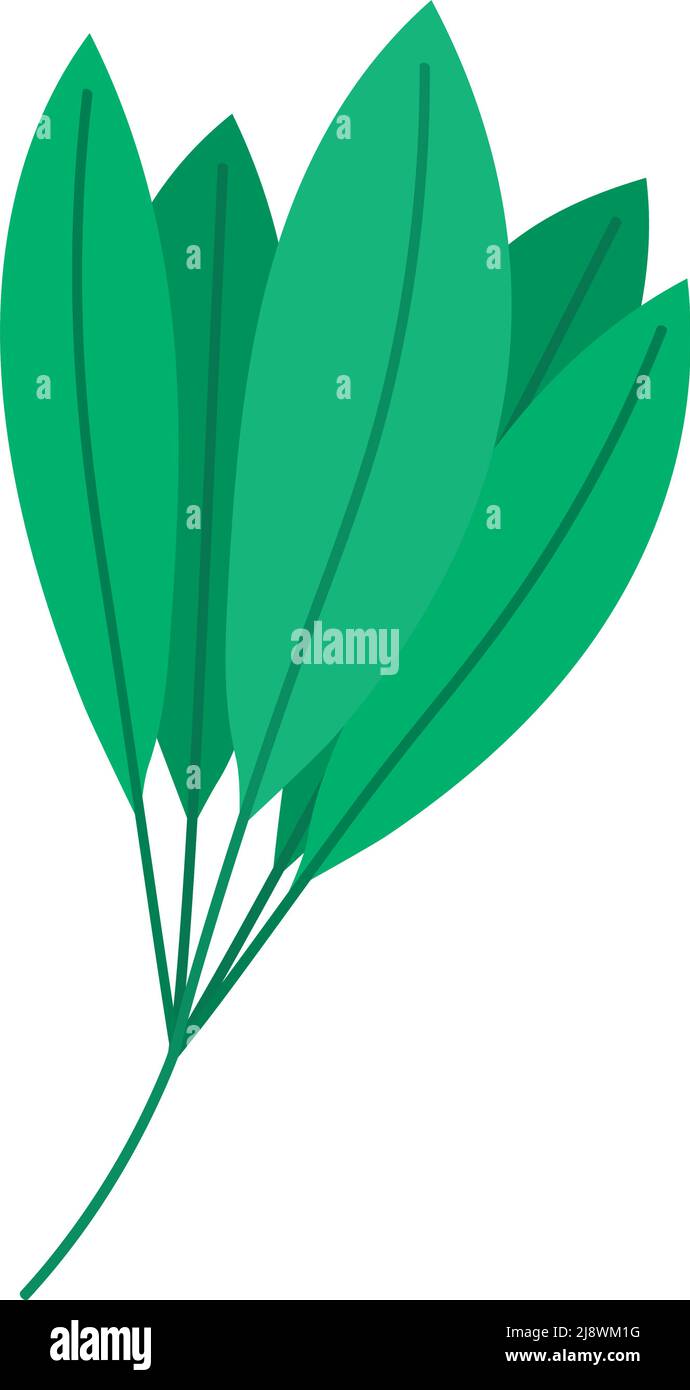 leaves on a stem Stock Vector Image & Art - Alamy