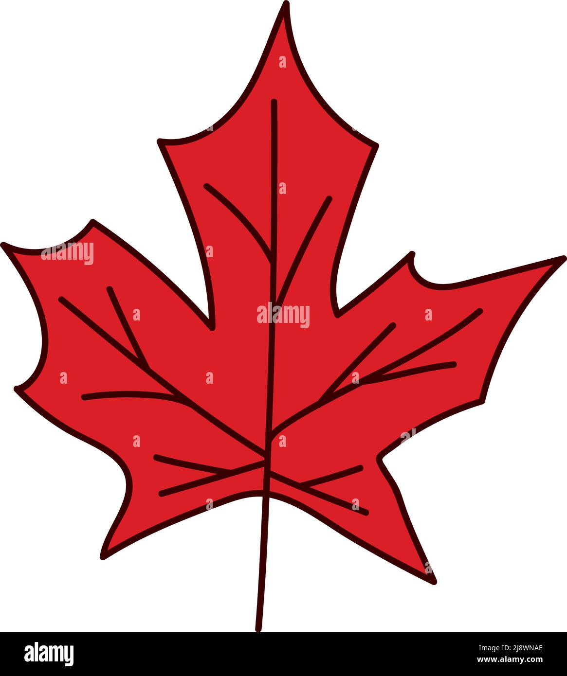 cute maple leaf Stock Vector Image & Art - Alamy