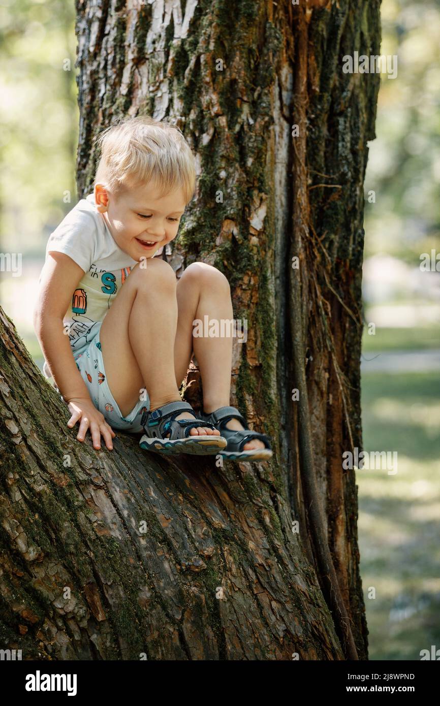 Cheerful little boy climbing on the big tree exploring the nature ...