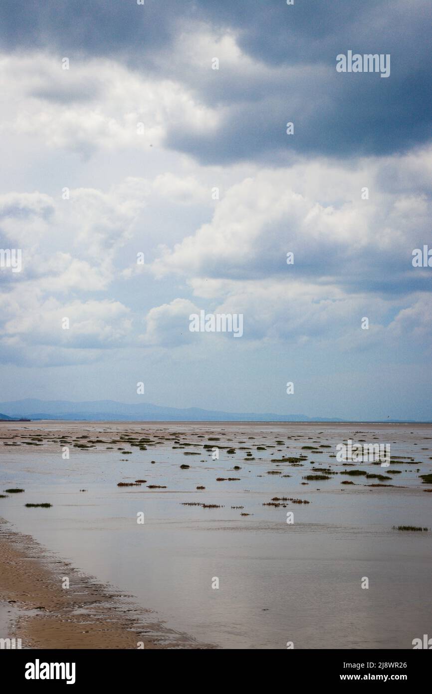 Tide out at Hoylake Beach - with grass mounds / patches Stock Photo - Alamy
