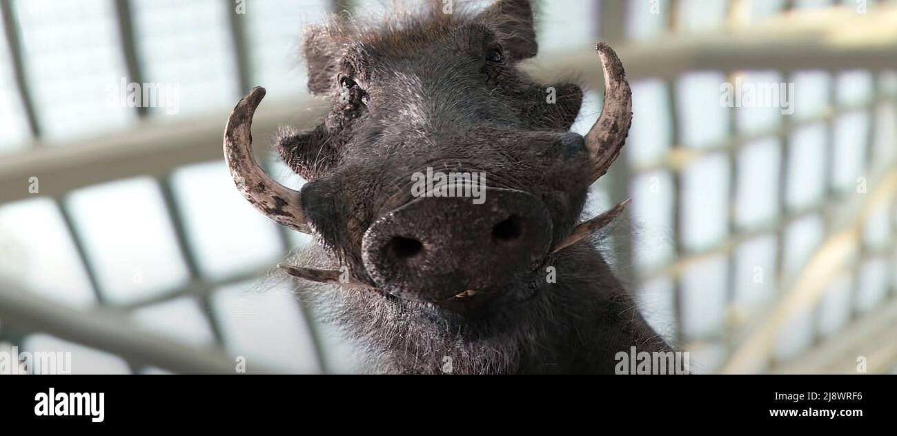 CHIP 'N' DALE: RESCUE RANGERS, Pumbaa (voice: Seth Rogen), 2022 ...