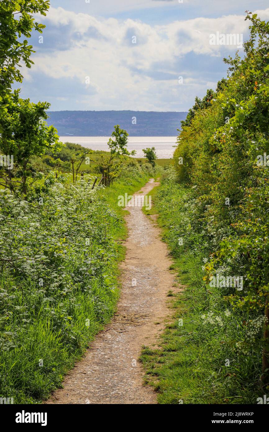 Path from the Wirral Way towards the seaside / beach / Thurstaston ...