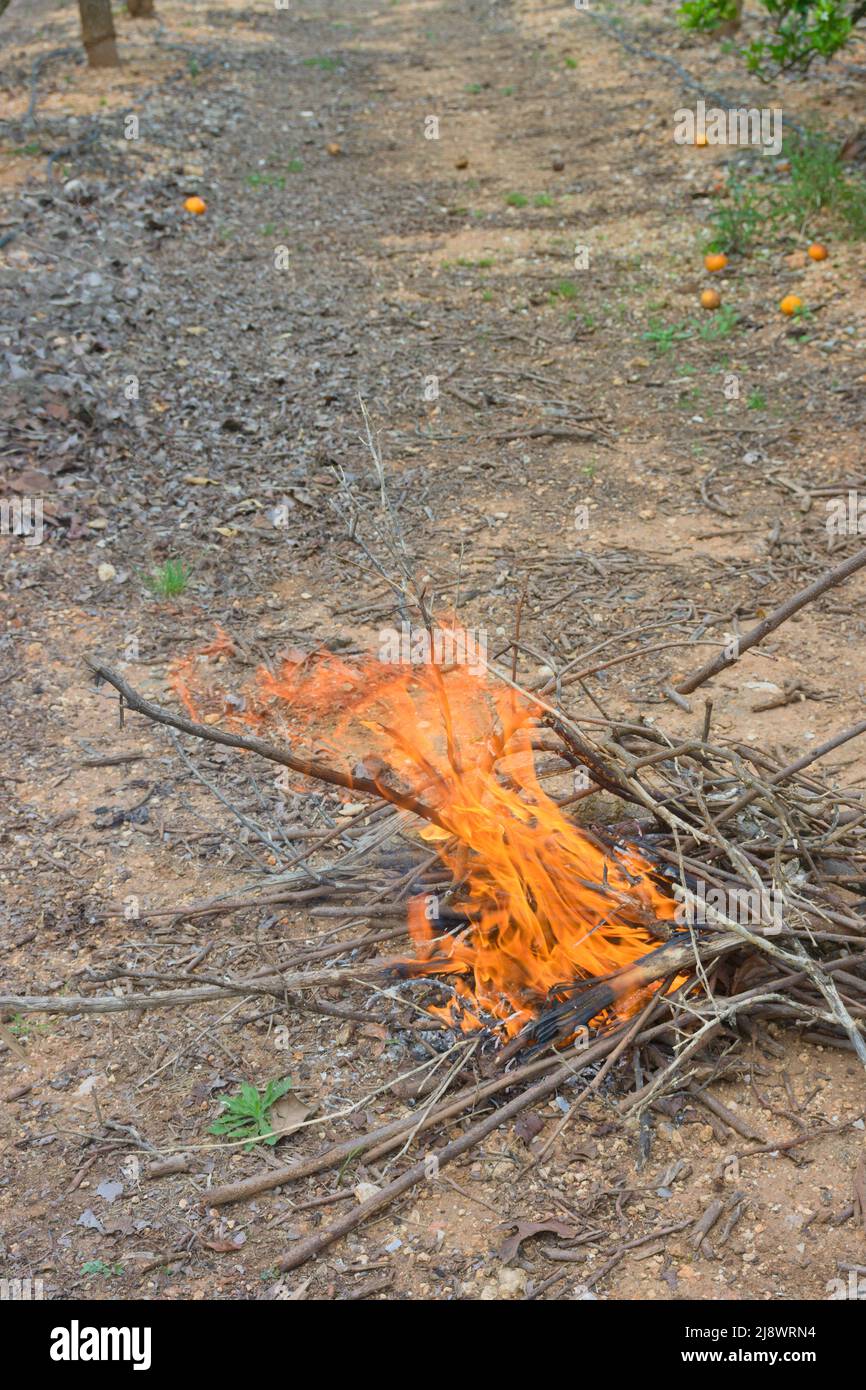 Close-up of a bonfire or campfire in orange flames ready to prepare a ...