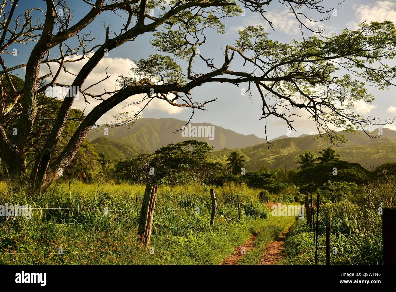 Sandy pathway lined by fenced-in ranch pasture, Pahole Natural Area ...