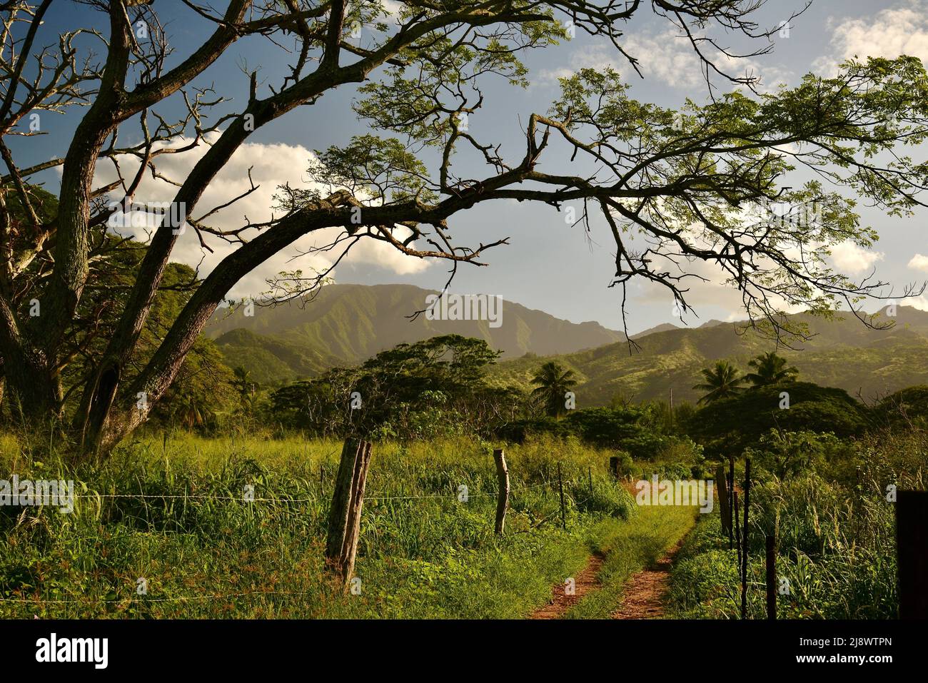Sandy pathway lined by fenced-in ranch pasture, Pahole Natural Area ...