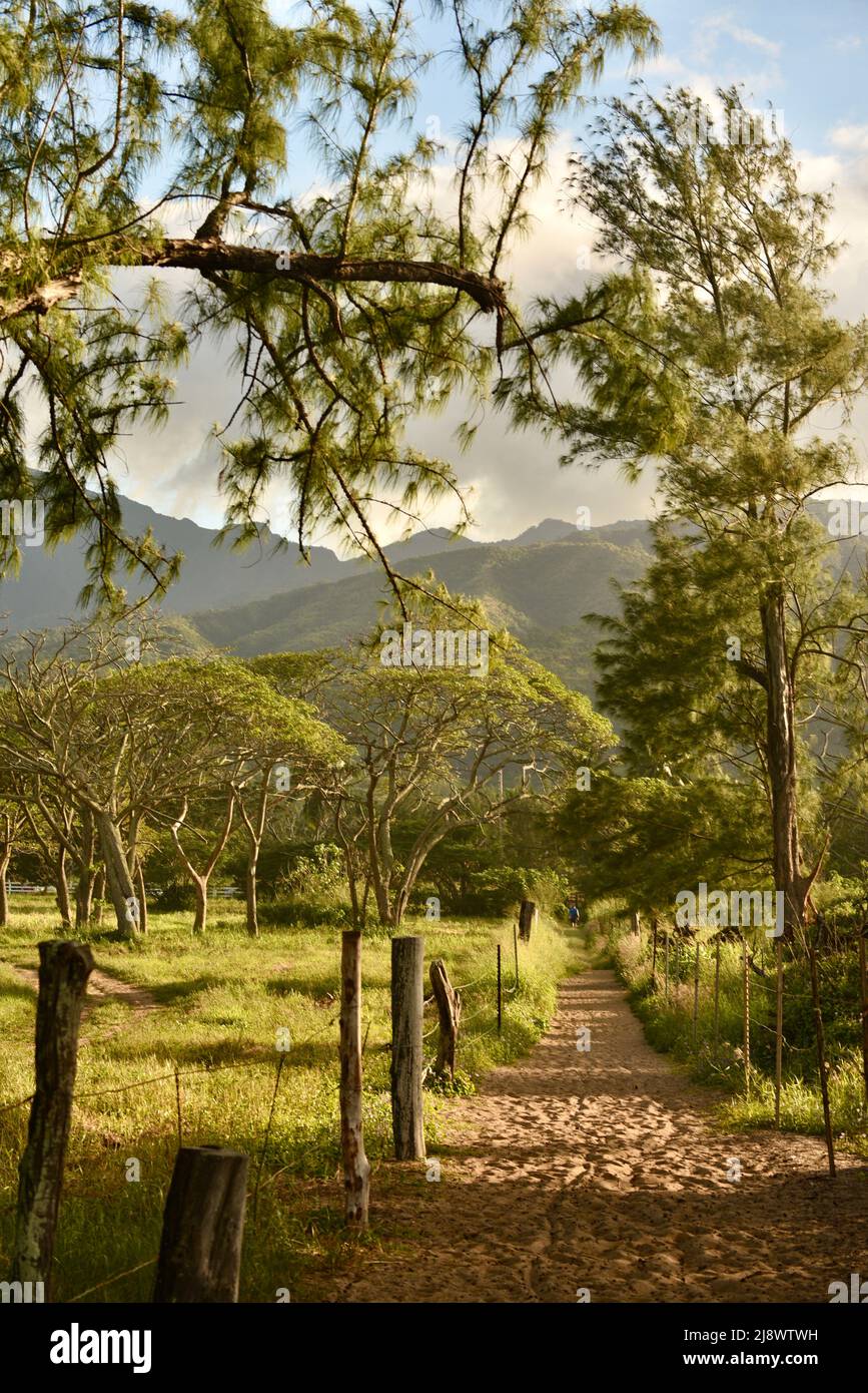 Sandy pathway lined by fenced-in ranch pasture, Pahole Natural Area ...