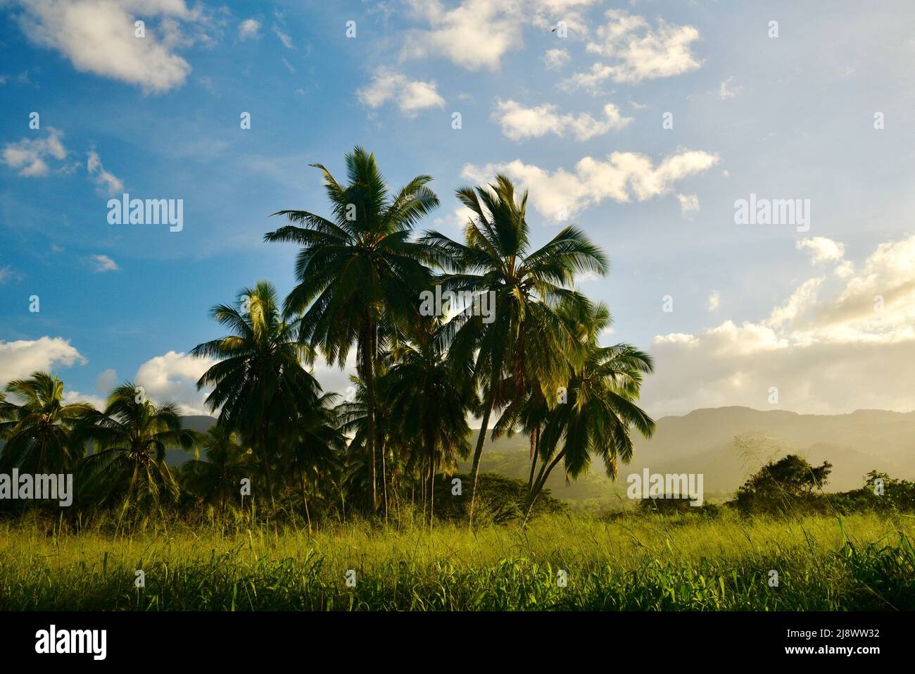Pahole natural area reserve hi-res stock photography and images - Alamy
