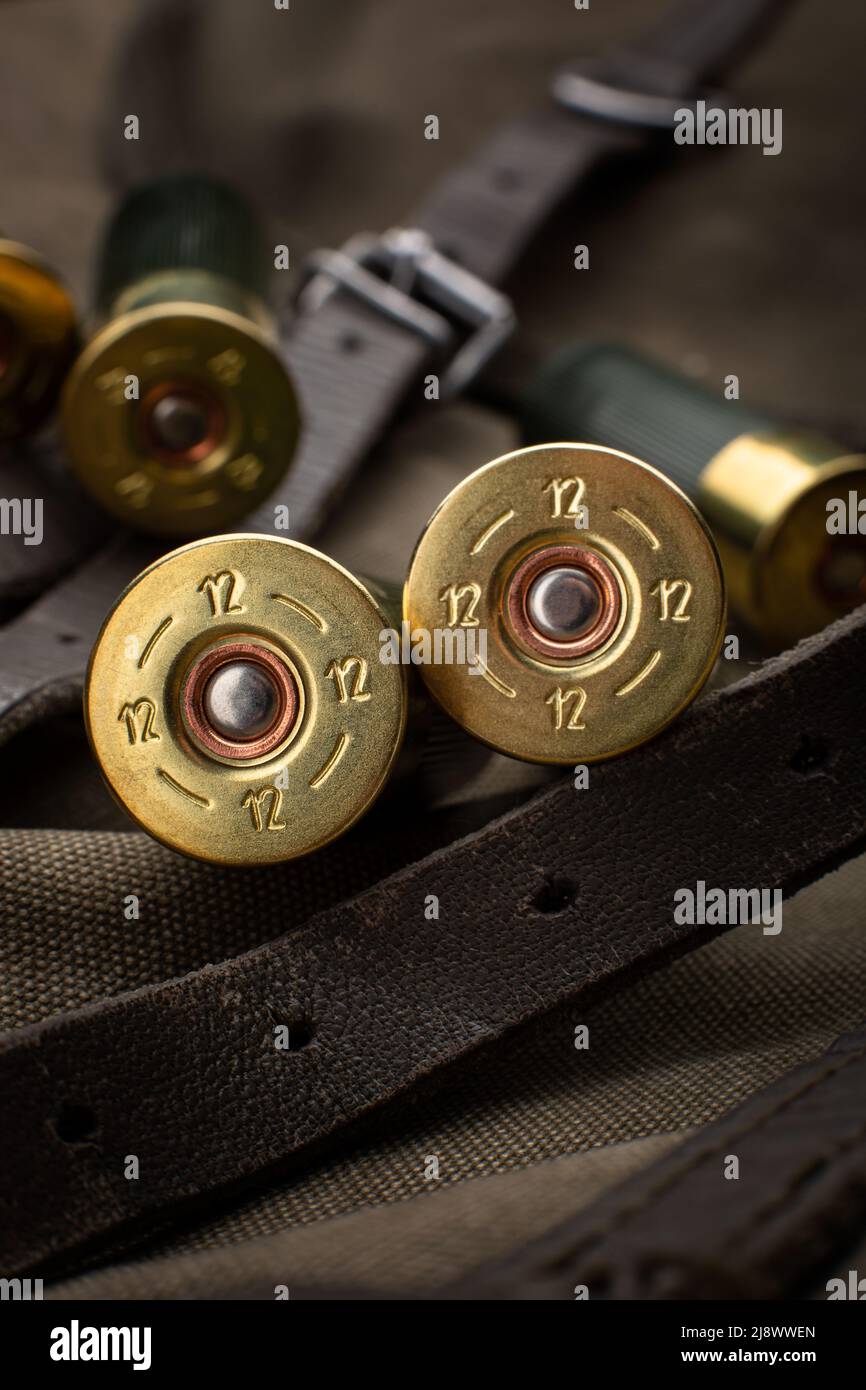 Shotgun shells close-up. Ammunition for smoothbore weapons on a khaki ...