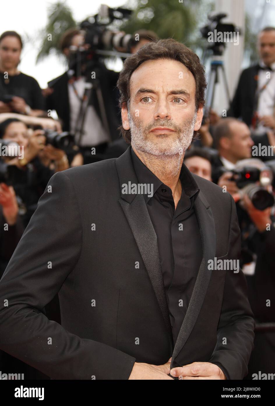 Anthony Delon 2022