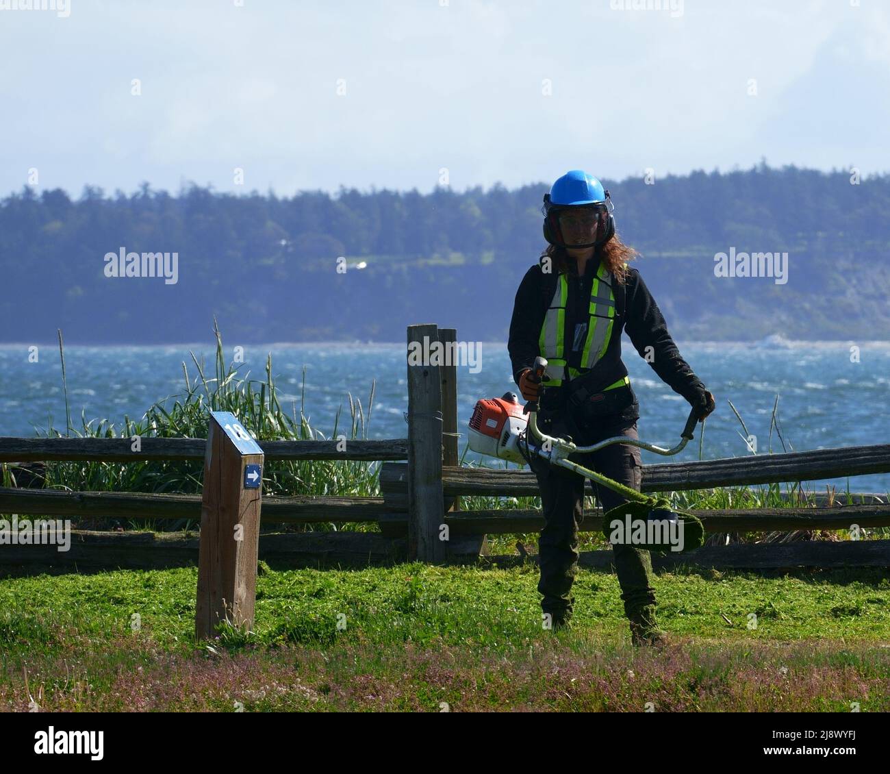 Park worker trimming grass Stock Photo - Alamy