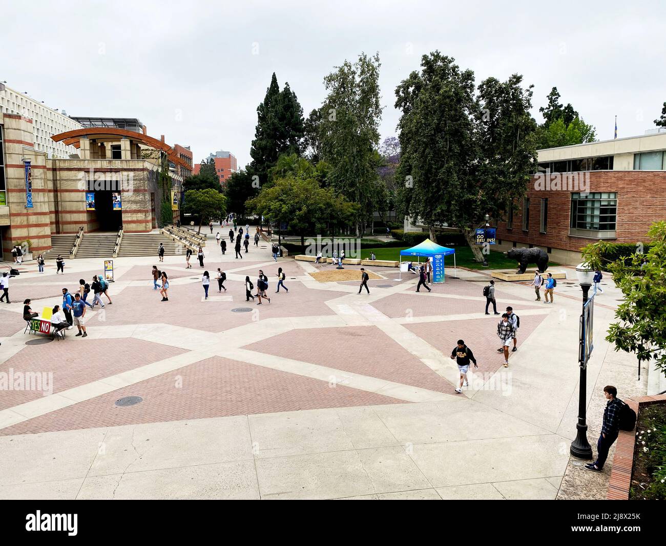 Bruin Plaza at UCLA Stock Photo - Alamy