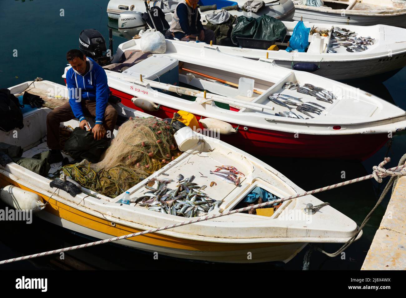 Freshly caught fish on boat at fish market Stock Photo - Alamy