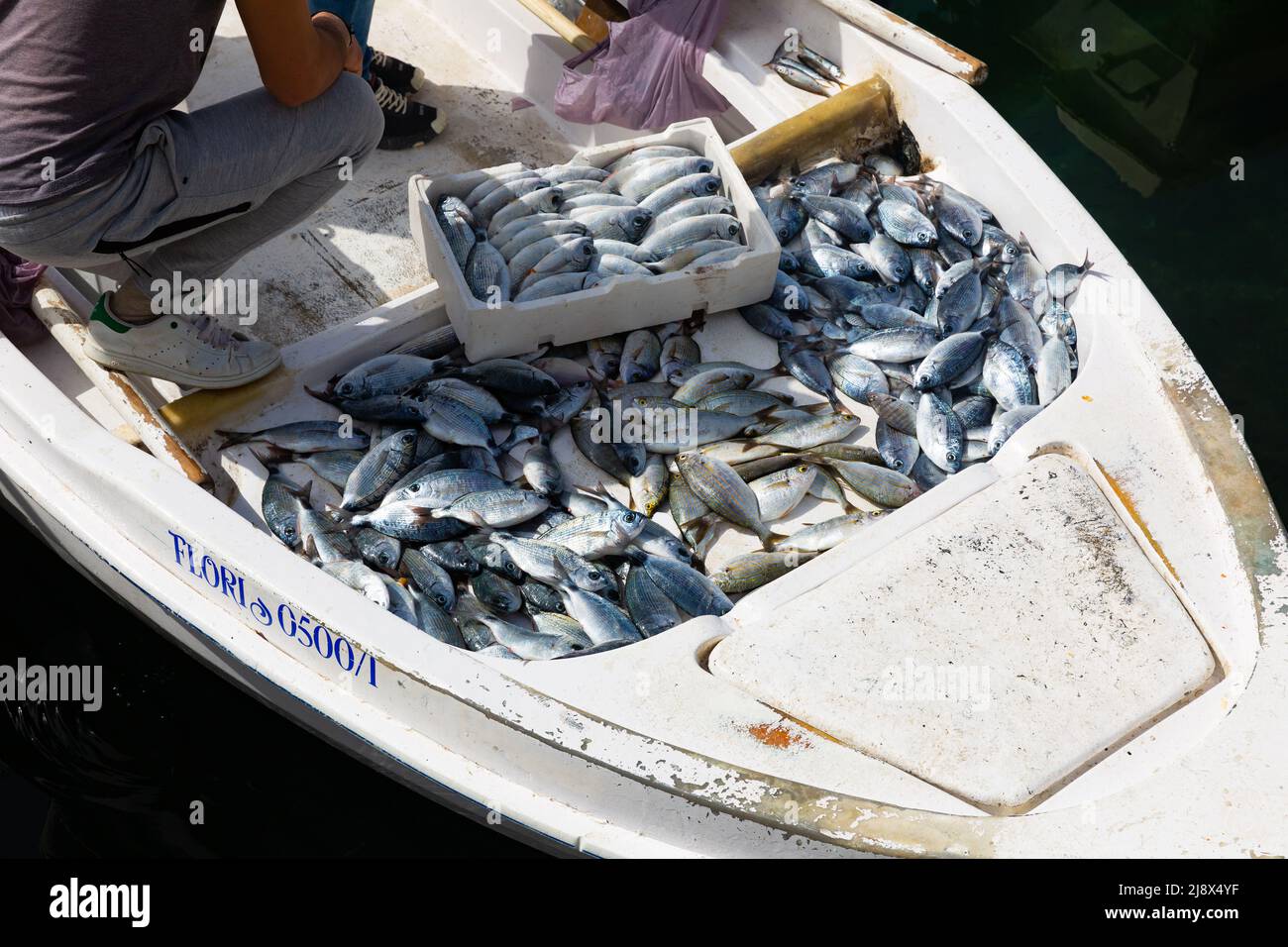 Freshly caught fish on fishing boat at market in Sarande city harbor ...