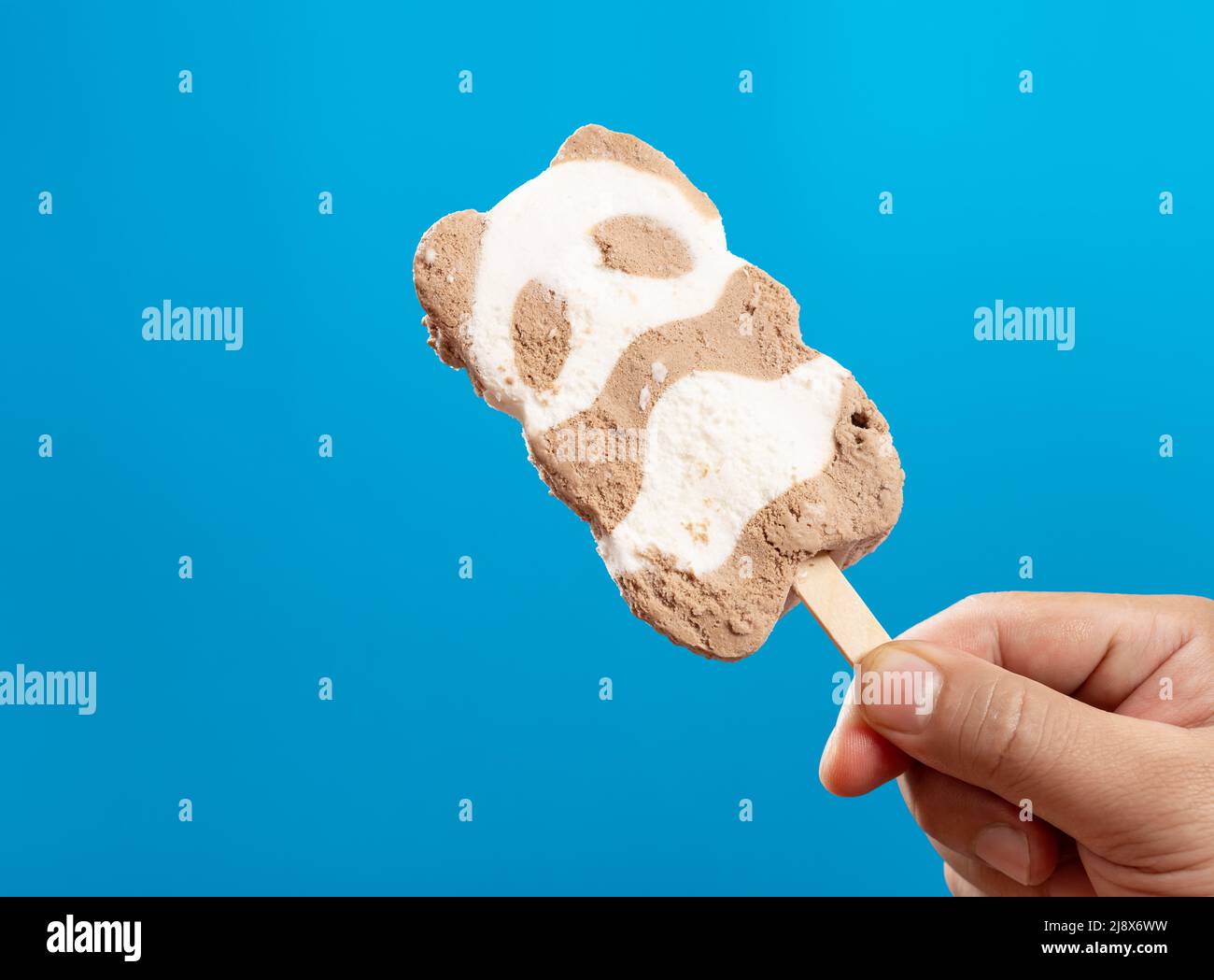 hand holding a fresh panda shape popsicle on blue background Stock ...