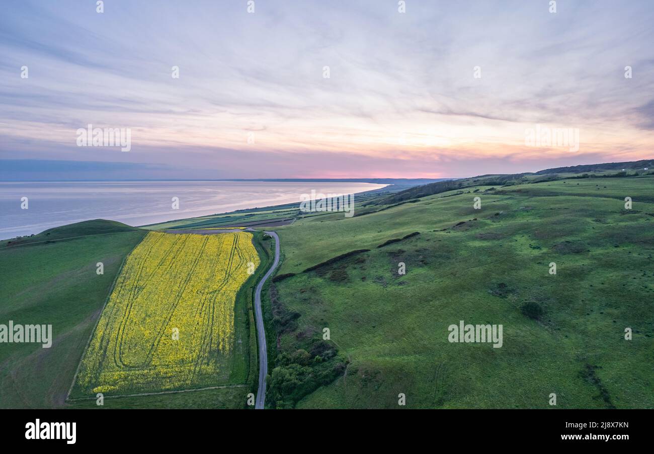 Sunset over Rapeseed field and Farmlands from a drone, Dorset, England ...