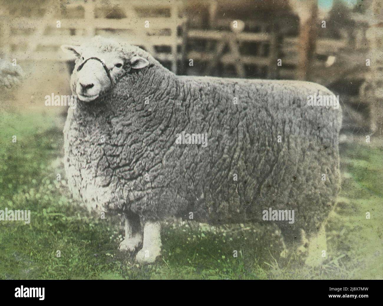 1920s colorized photo hi-res stock photography and images - Alamy