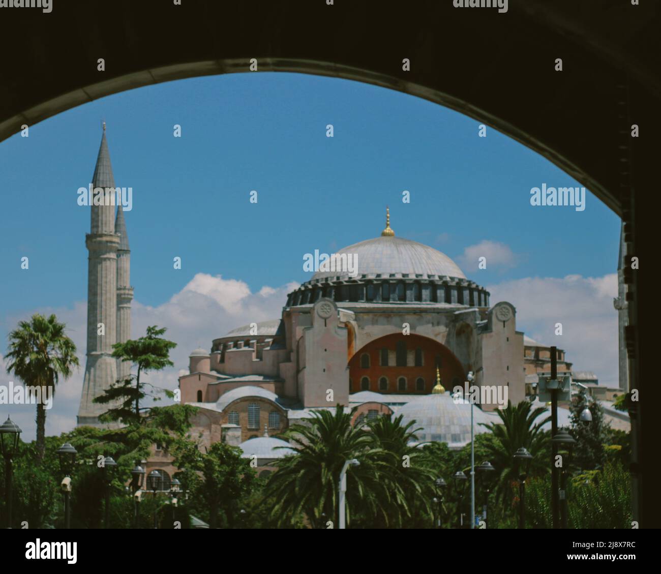 Hagia Sophia with Palm trees Stock Photo - Alamy
