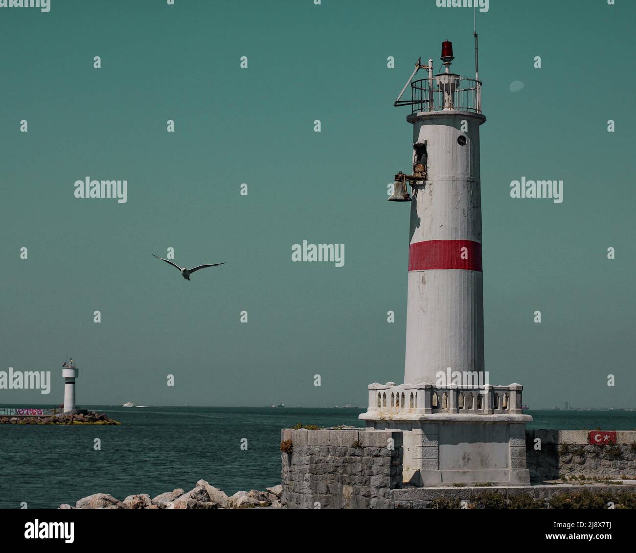 A lighthouse and a seagull Stock Photo - Alamy