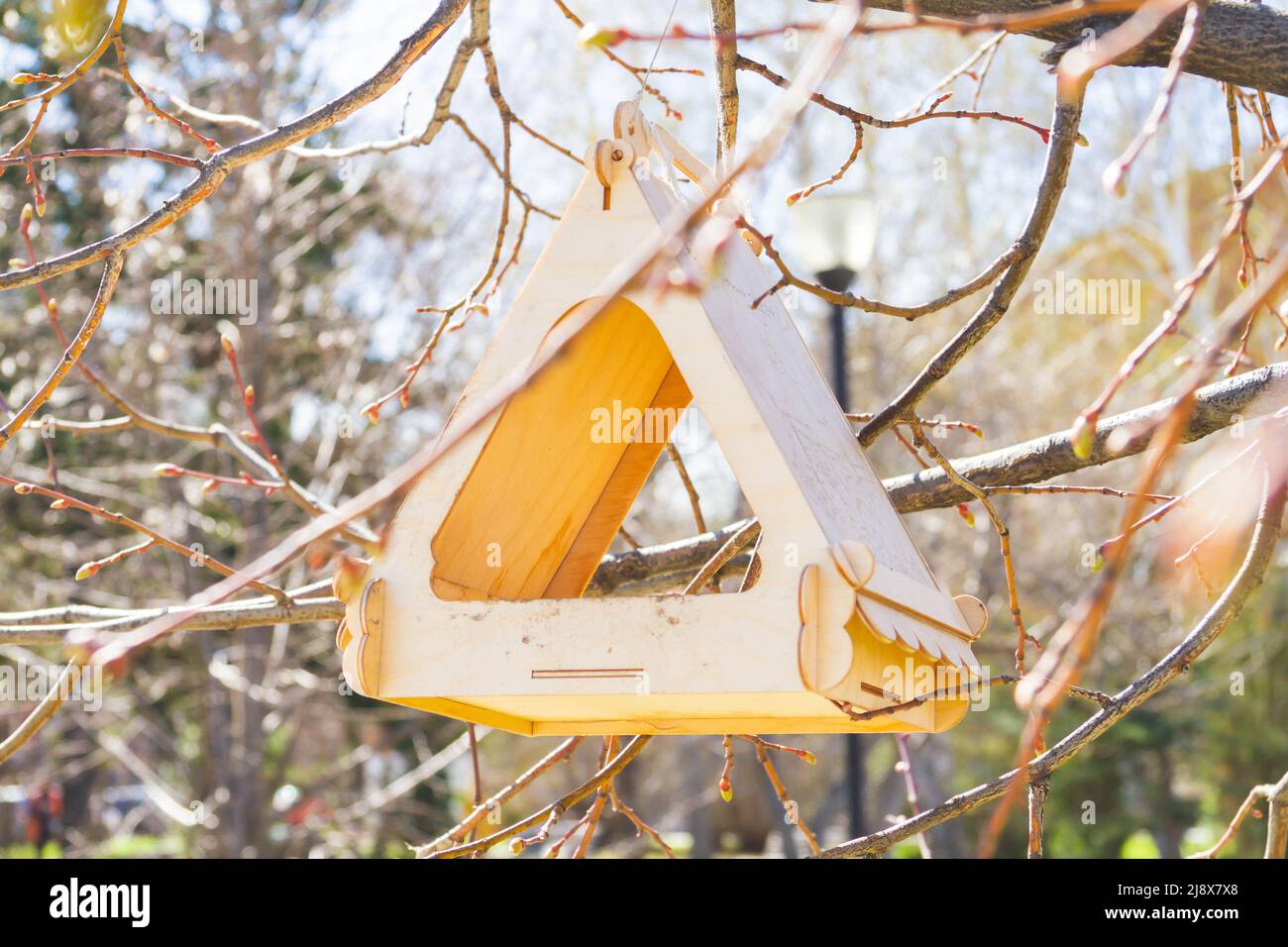 Bird feeders. Feeding birds in the forest. Birdhouse on a tree. Caring ...