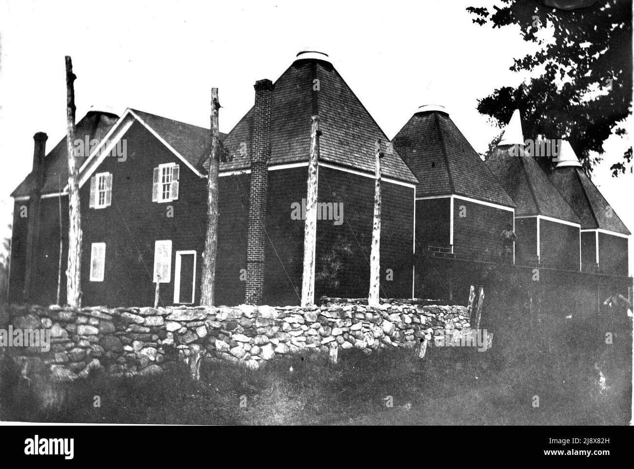 Smoke kilns (toast houses) at Corbyville, Ontario, for curing hops ...