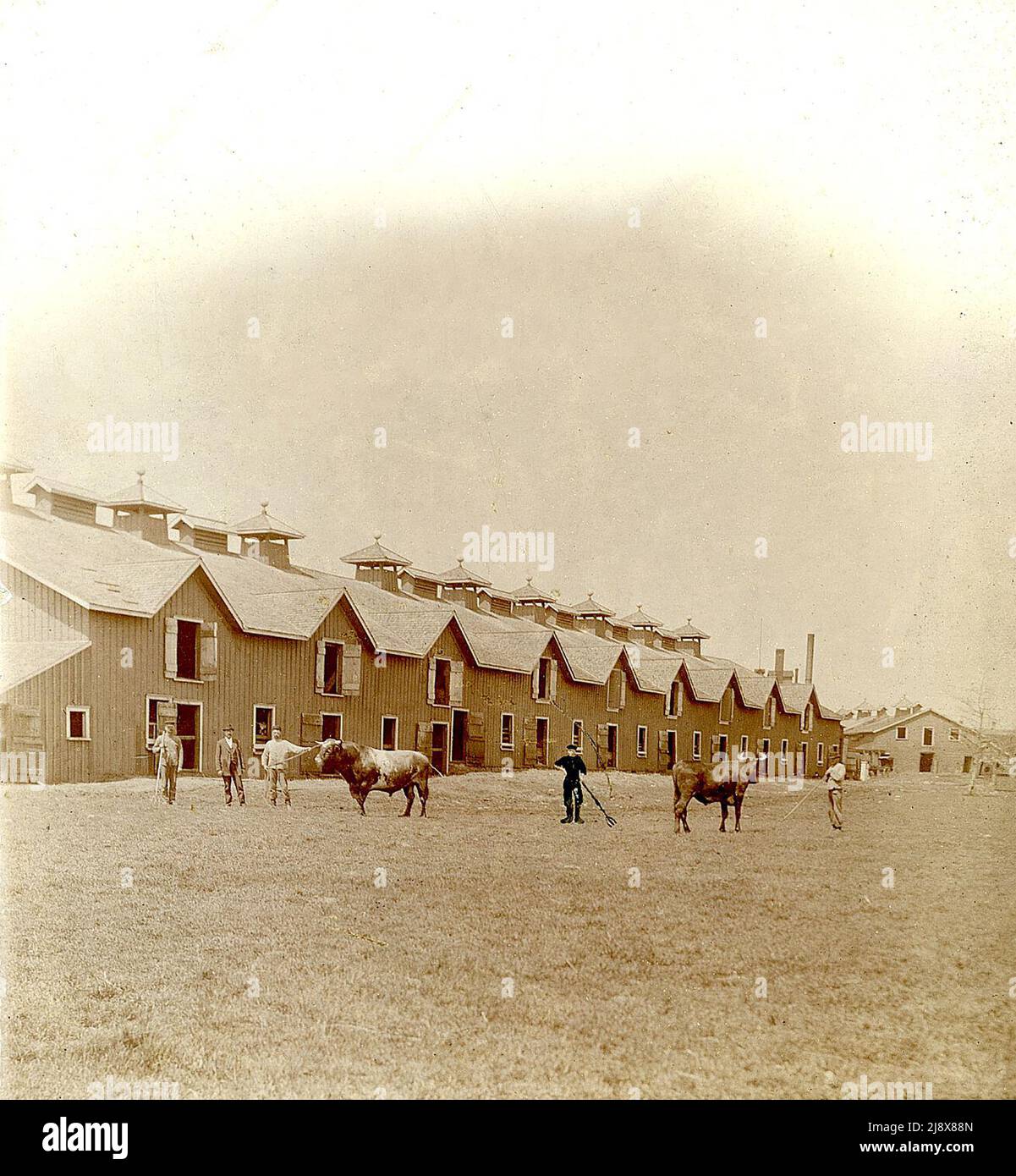 Old cattle barns belonging to Corby's Distillery at Corbyville, Ontario ...