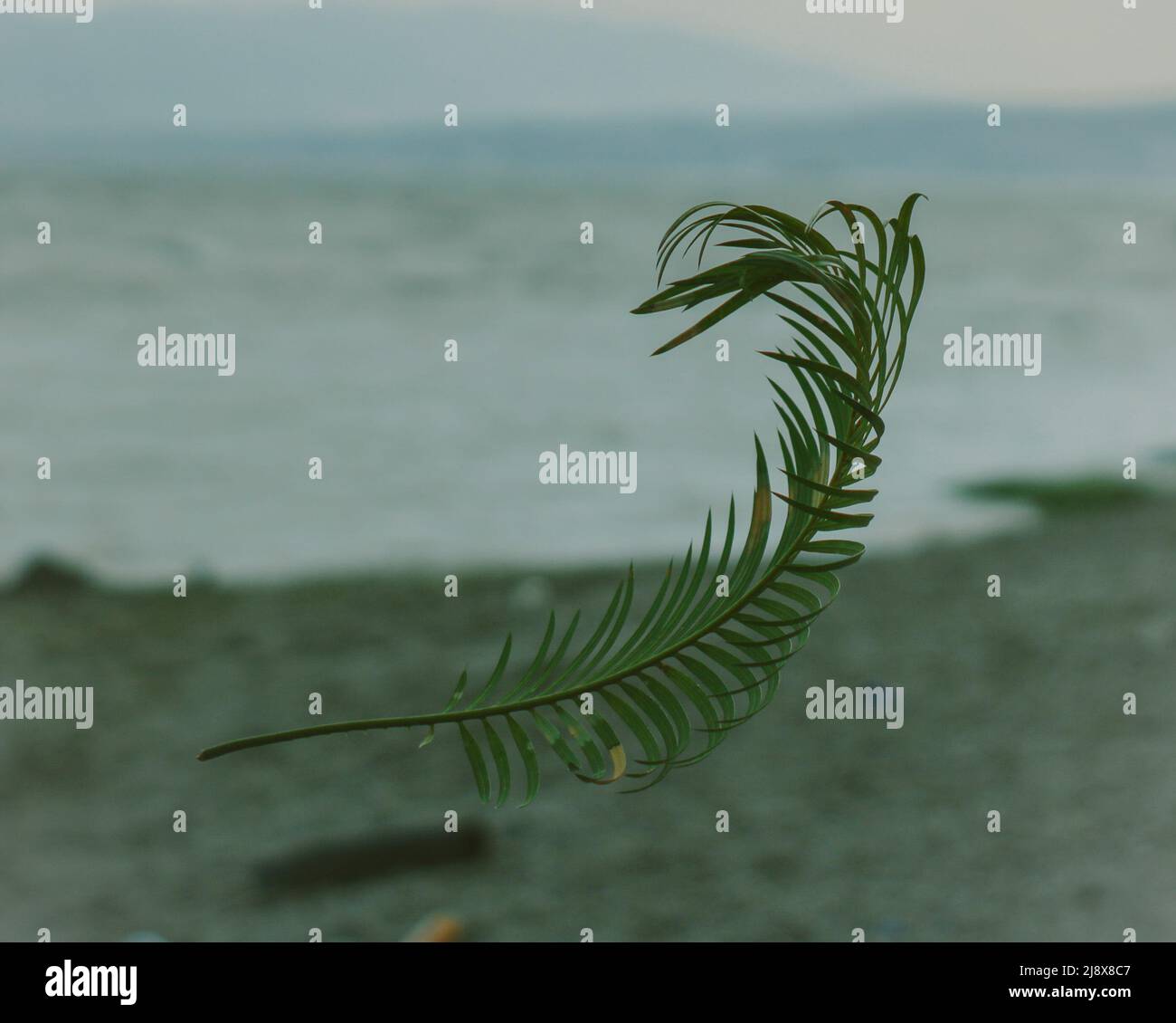 Girl in tanning bed hi-res stock photography and images - Alamy